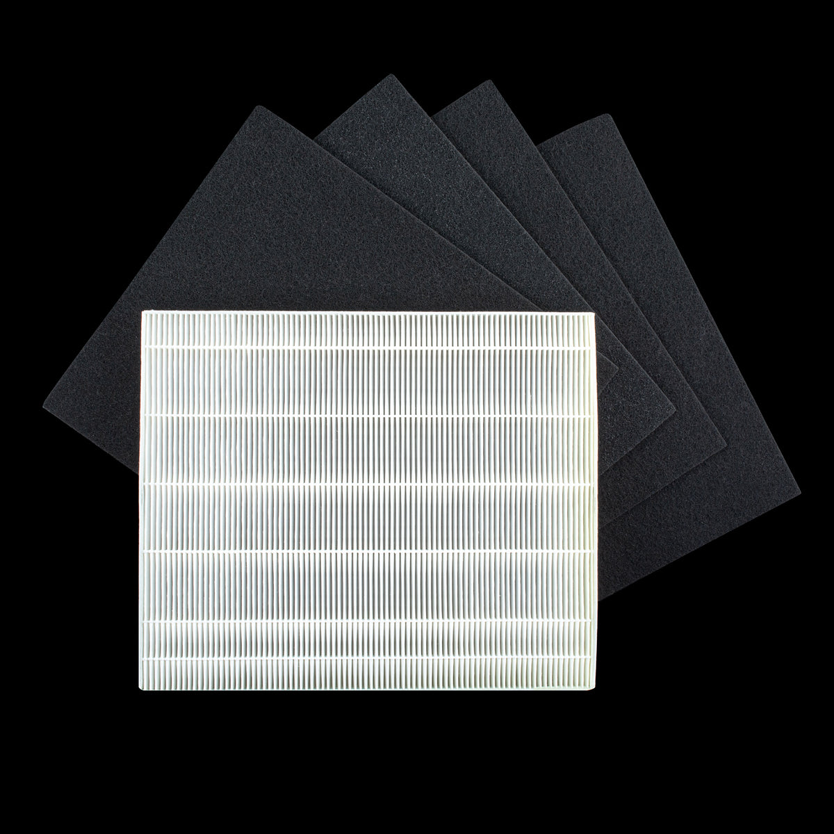 HS69945 Electrolux Replacement Filters Style 150 HEPAX 1 And Carbon X 4 ...